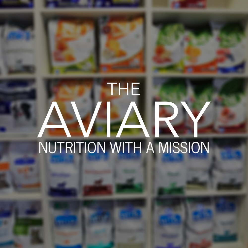 What Should Parrots Eat Daily? A Complete Guide to Balanced Parrot Nut ...