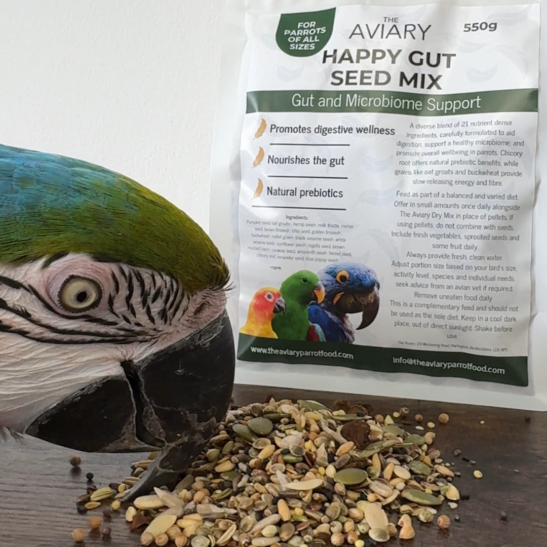 Happy Gut Seed Mix For Parrots - The Aviary Parrot Food